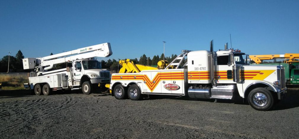 Gallery – All Valley